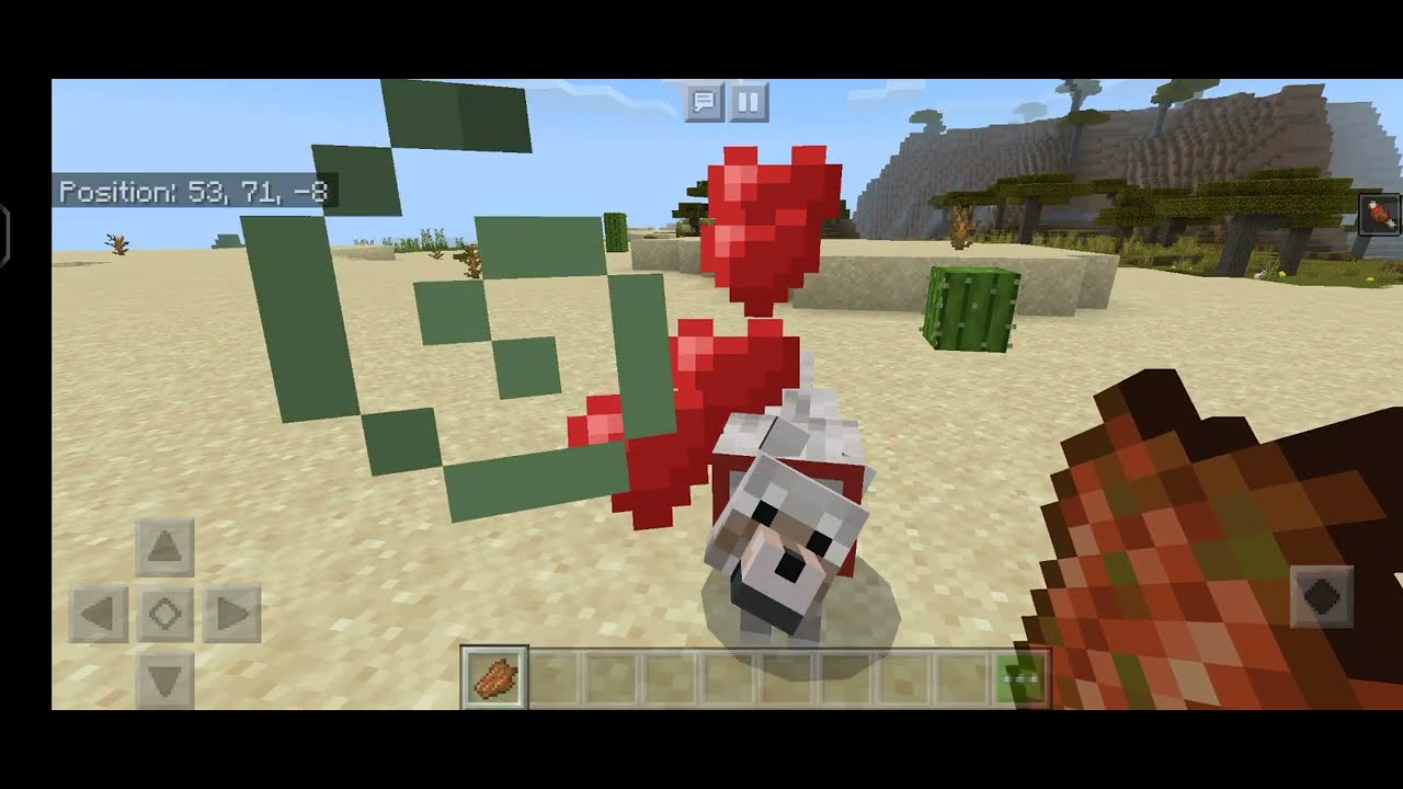 Minecraft Pocket Edition - YouTube