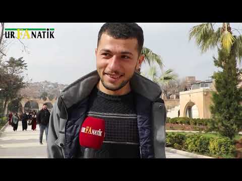 Sevgililer Gününde Gül Yerine Tezek! Şanlıurfalıların 14 Şubat Sözleri Gündem Oldu