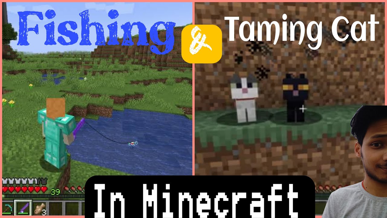 Fishing and Taming cat in Minecraft SMP Live Stream || Playing ...