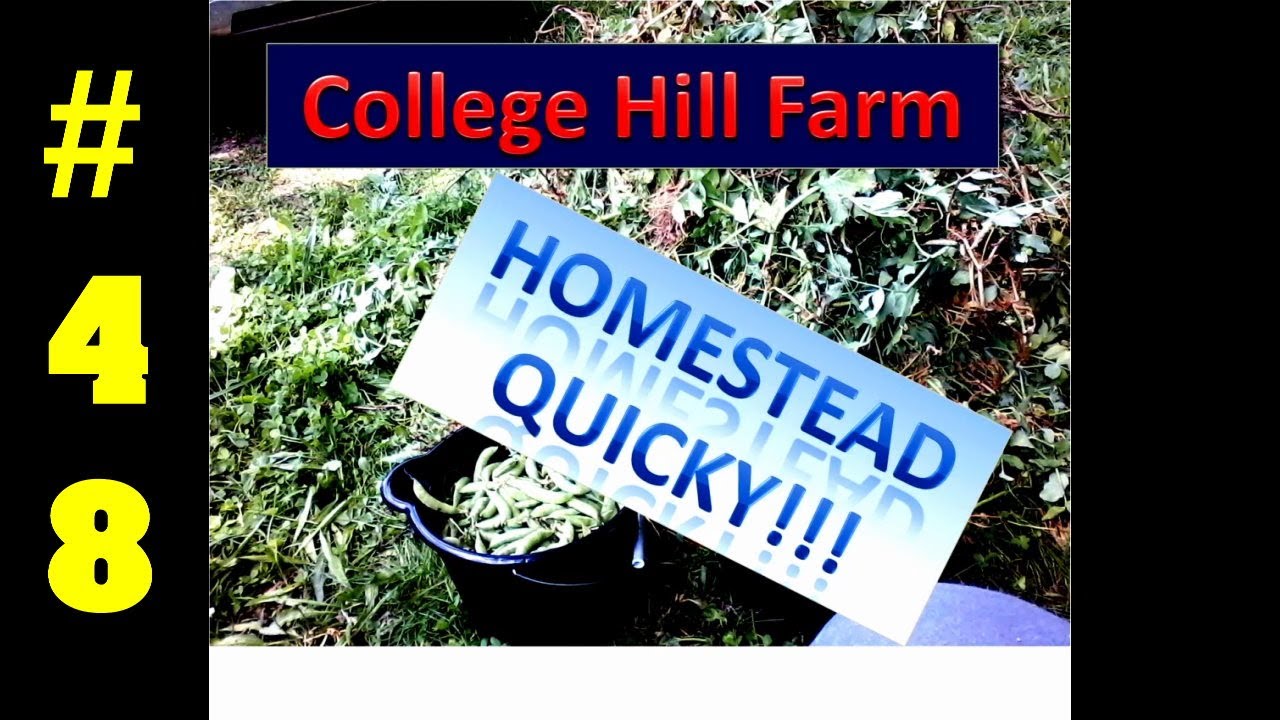 Making Straight Rows with Your Tractor Homestead Quicky #48 - YouTube