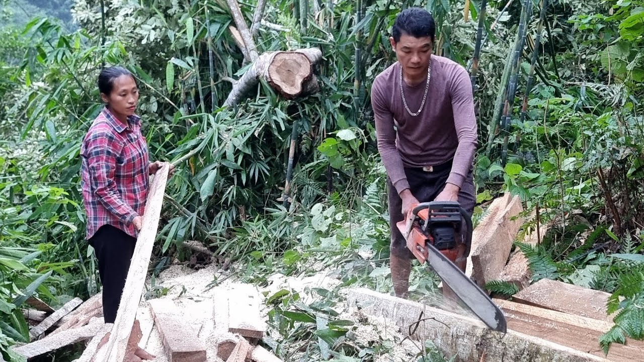 How to build a wooden pig pen - Pet care - building daily life | Triệu ...