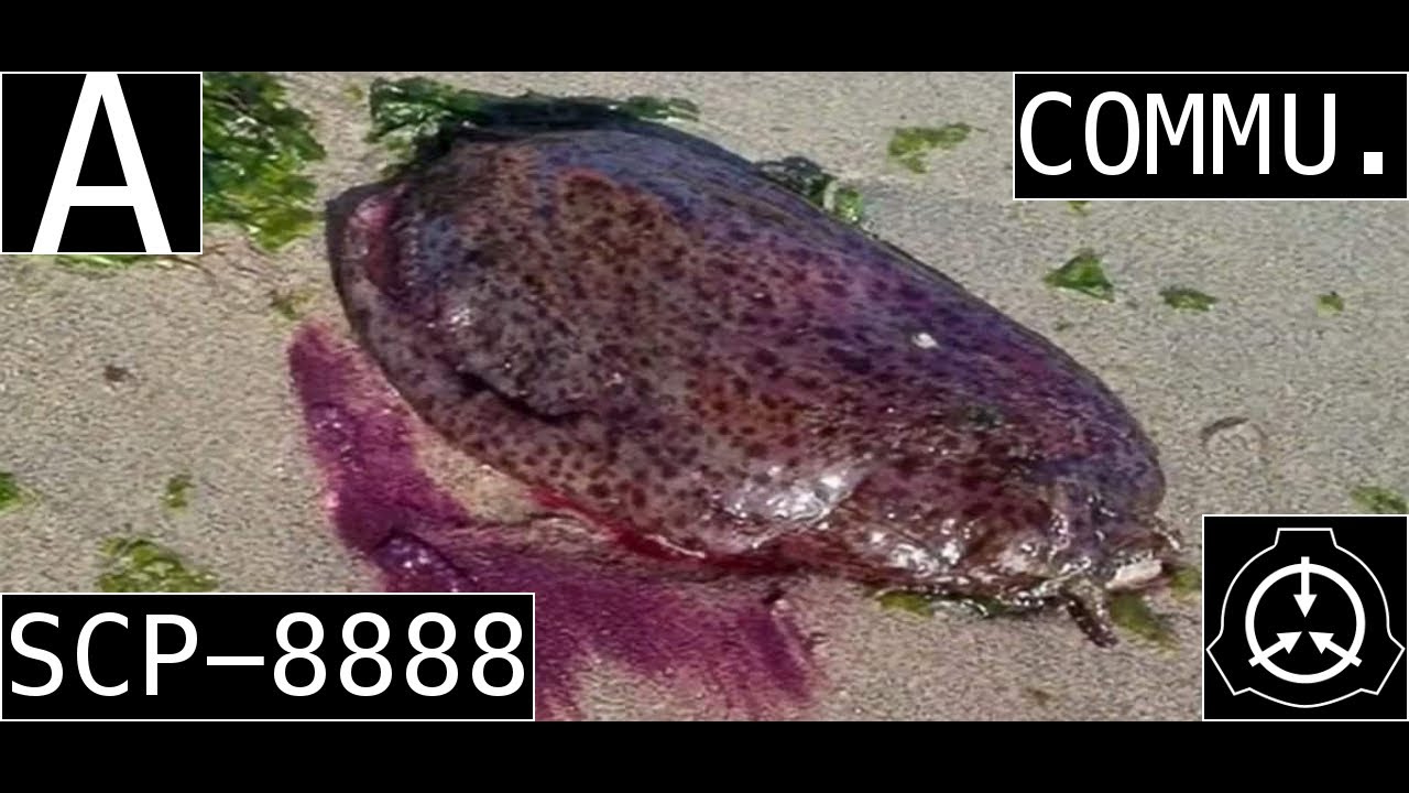 SCP-8888 "Cancerous Disguise" [SCP Community] - YouTube