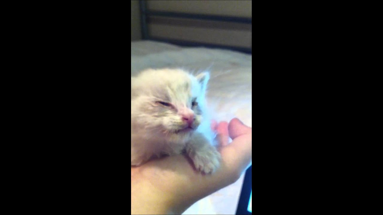 Hi world!! - YouTube