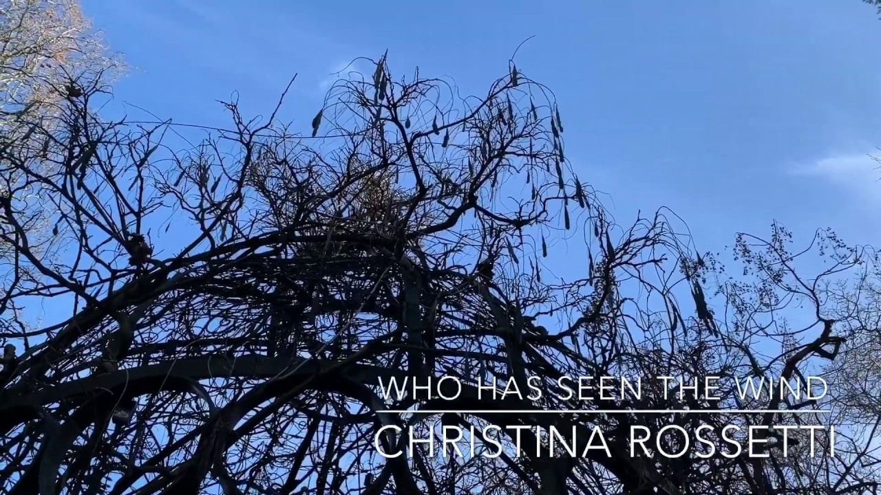 Who has seen the wind? by Christina Rossetti, Recitation by Rebecca ...