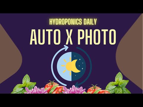 What Are Day Neutral Plants