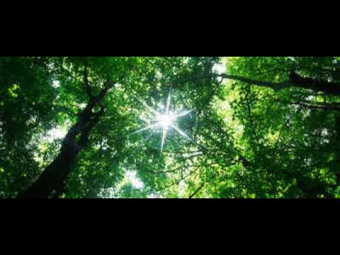 Parisara Geetha - YouTube