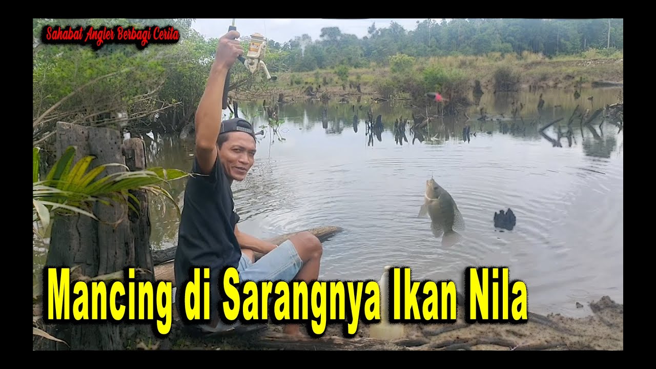 SABC#37 Dewa Mancing Keseruan mancing bareng pak Wono dan Ridwan ...