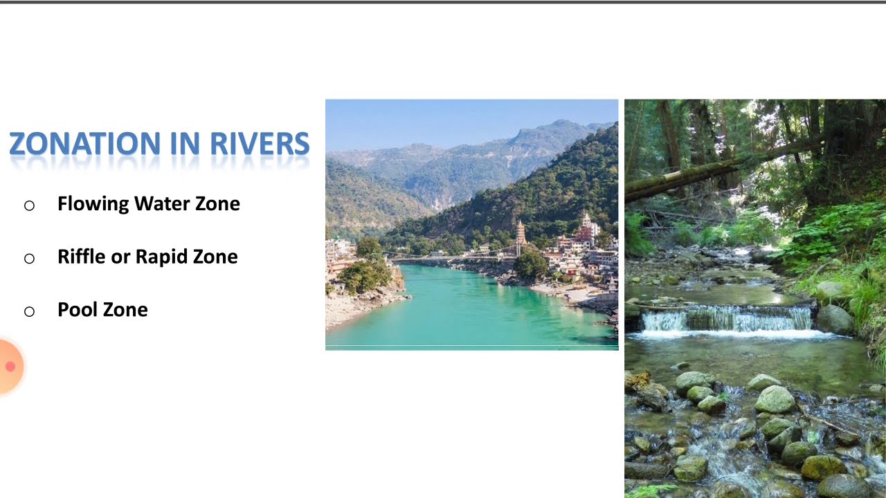 Zonation in Rivers and Biota of Rivers - YouTube