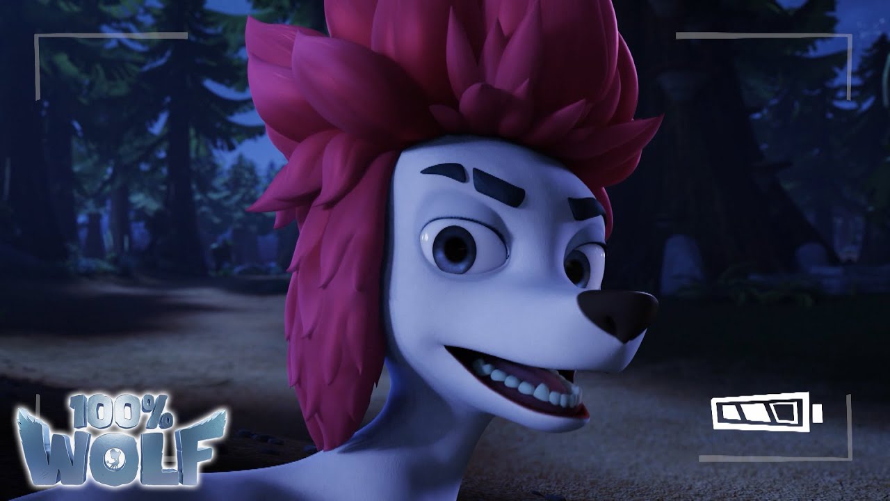 Ein unglaublicher Ort | 100% Wolf besten Momente | 100% Wolf🐺🐩 - YouTube