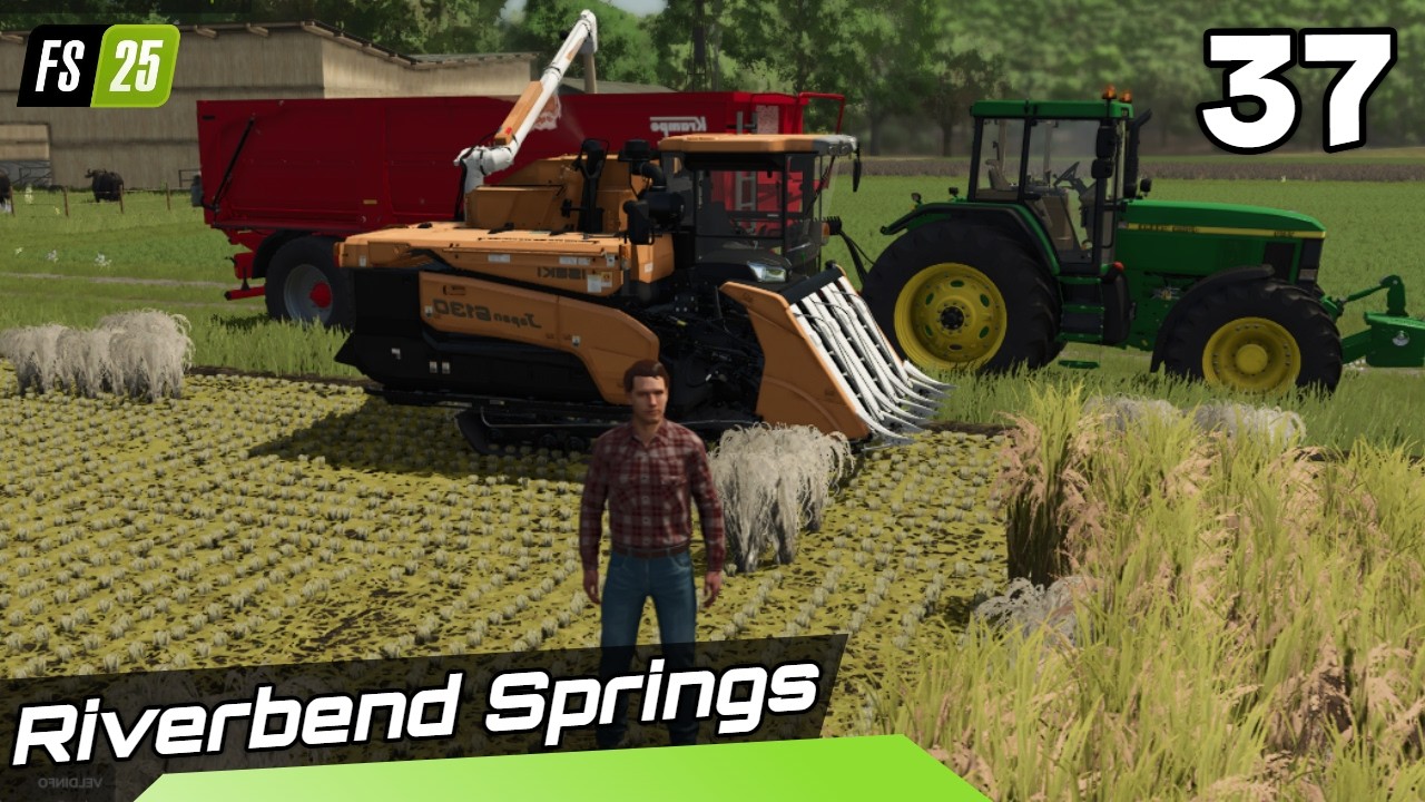 Rijst Oogsten & Nieuw Grasland Inzaaien | Riverbend Springs #37 | FS25 ...