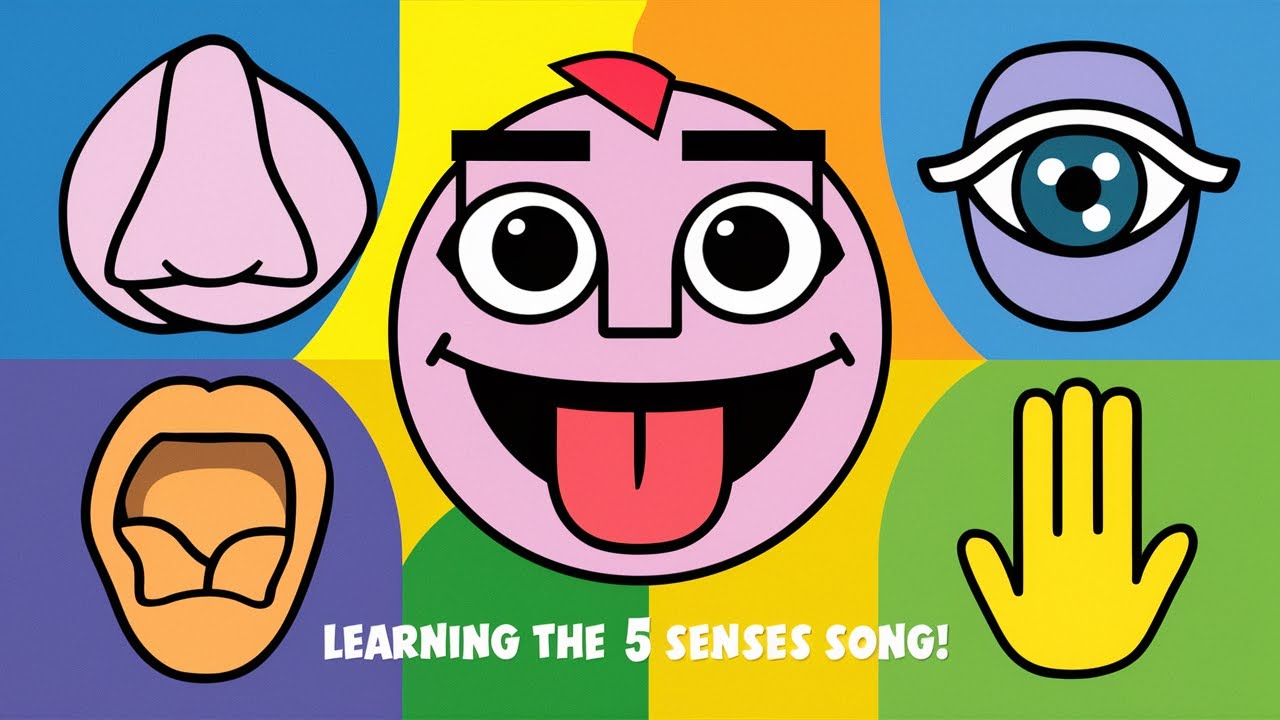 Learn the 5 Senses: A Fun Educational Song for Kids - YouTube