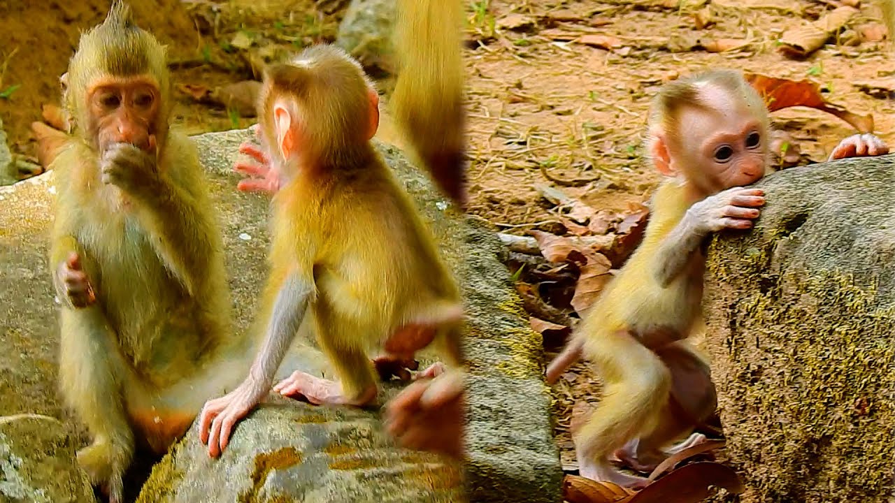 Lucie likes playing all day long - YouTube