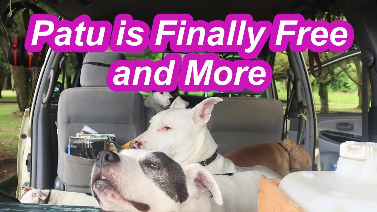 Patu is finally free see how he deals with his new found freedom ...