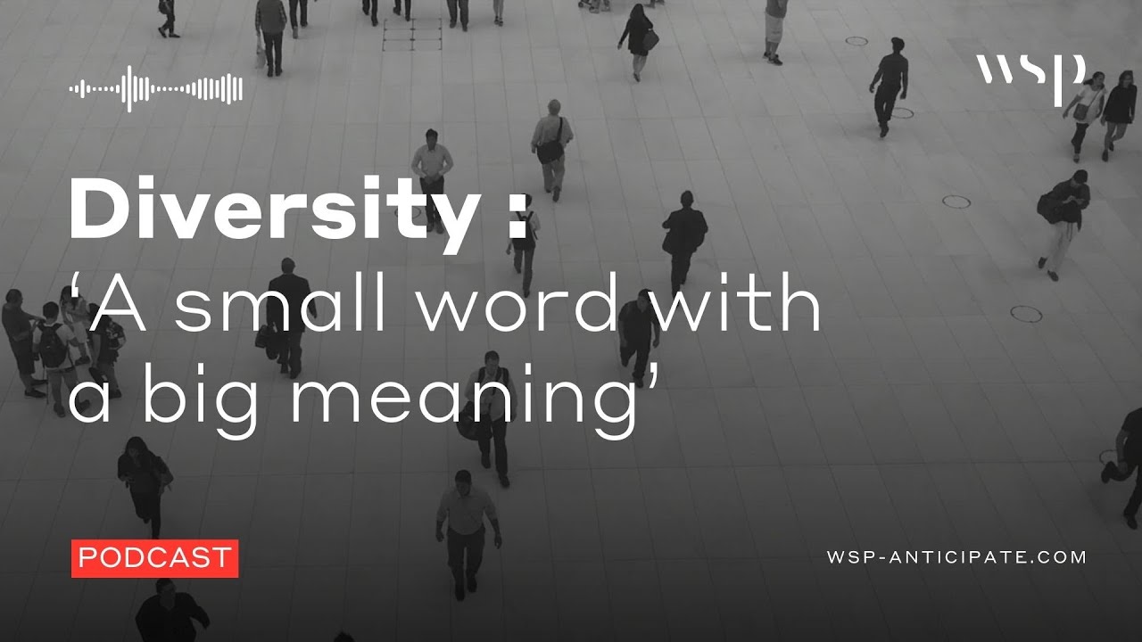 Diversity ‘A small word with a big meaning’ | WSP Anticipate - YouTube