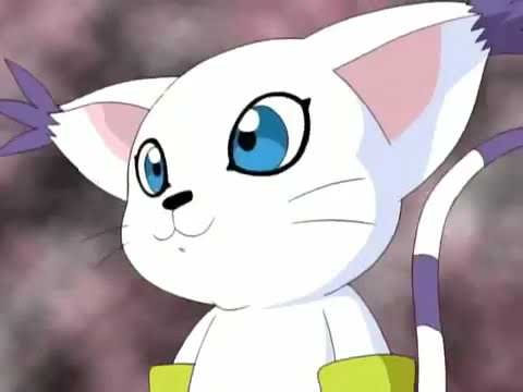 Digimon adventure - angewomon v.s ladydevimon español latino