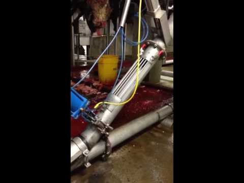 Beef Feet Vacuum - YouTube