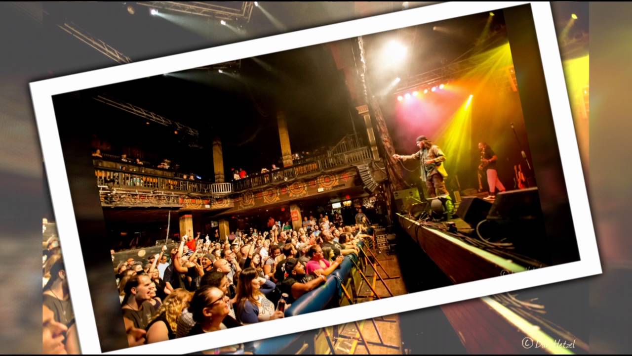 Pearl Jamz @ House of Blues in Orlando 07-16-2016 (photos by Dan Hetzel ...