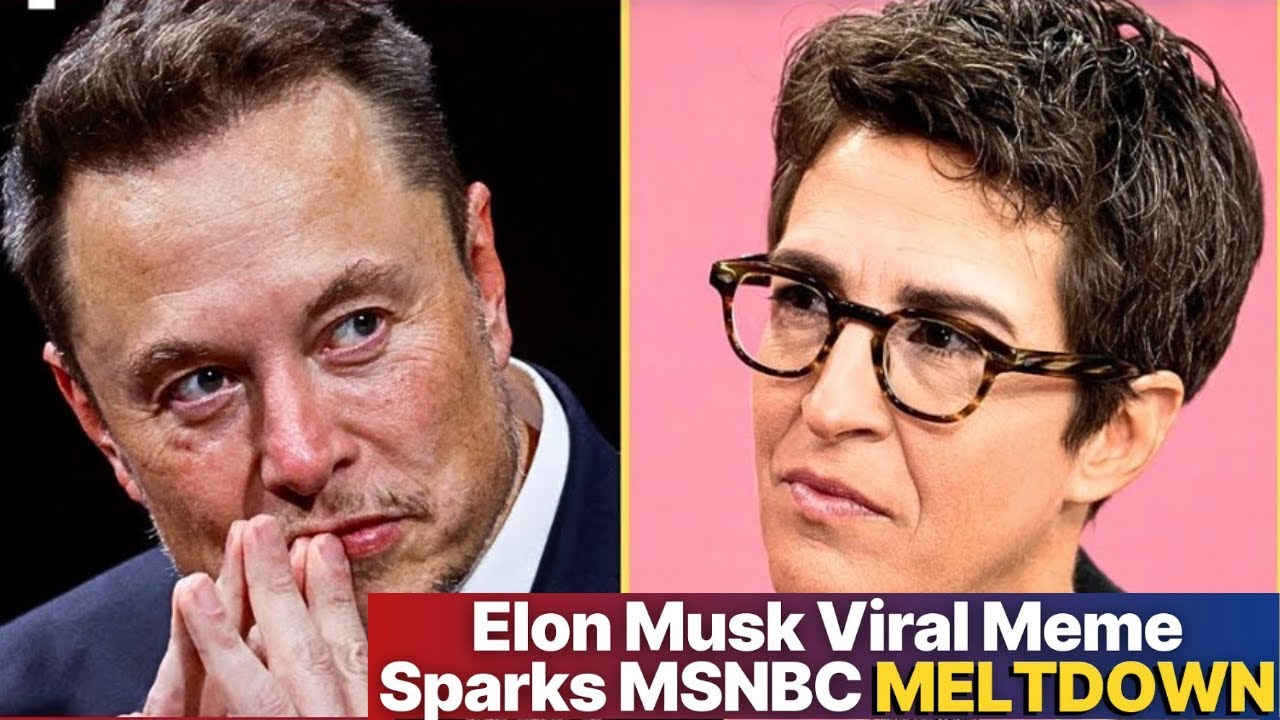 Elon Musk VIRAL MEME Sparks MSNBC Meltdown - YouTube
