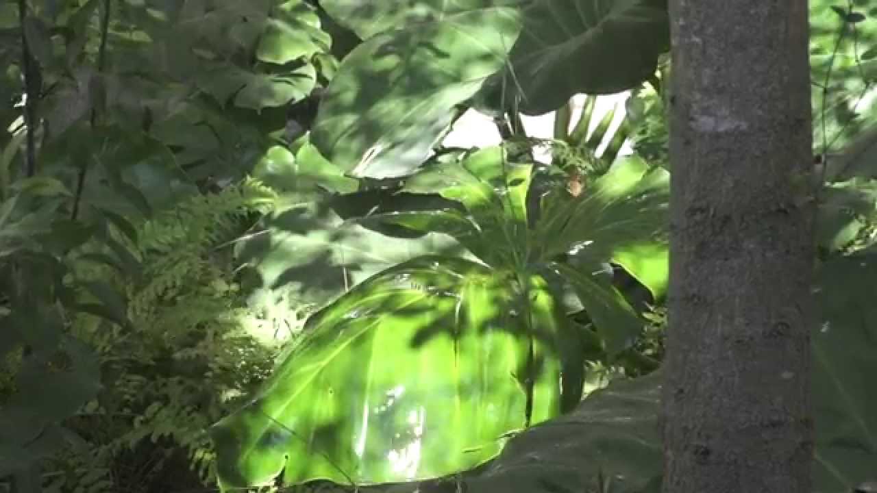 Terence Riley on the sustainable concepts behind some of PAMM's most ...