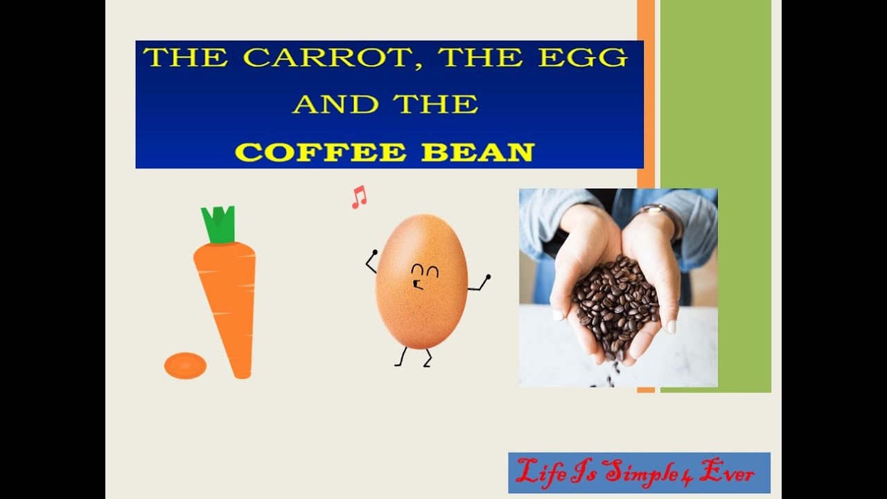 The Choices of Life - Good Choices Good Life - Here is how to Master it ...