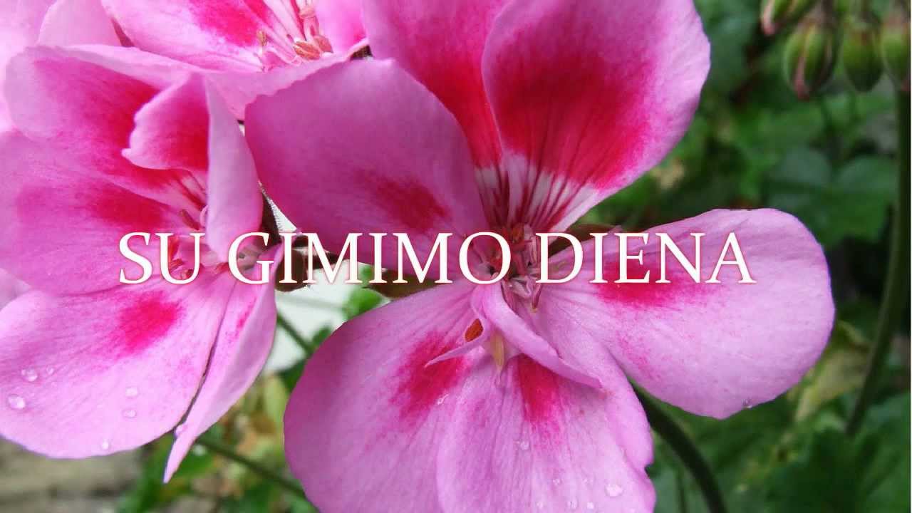 Gimtadienio Sveikinimai Palinkėjimai, Sveikinimai Gimimo Dienos Proga