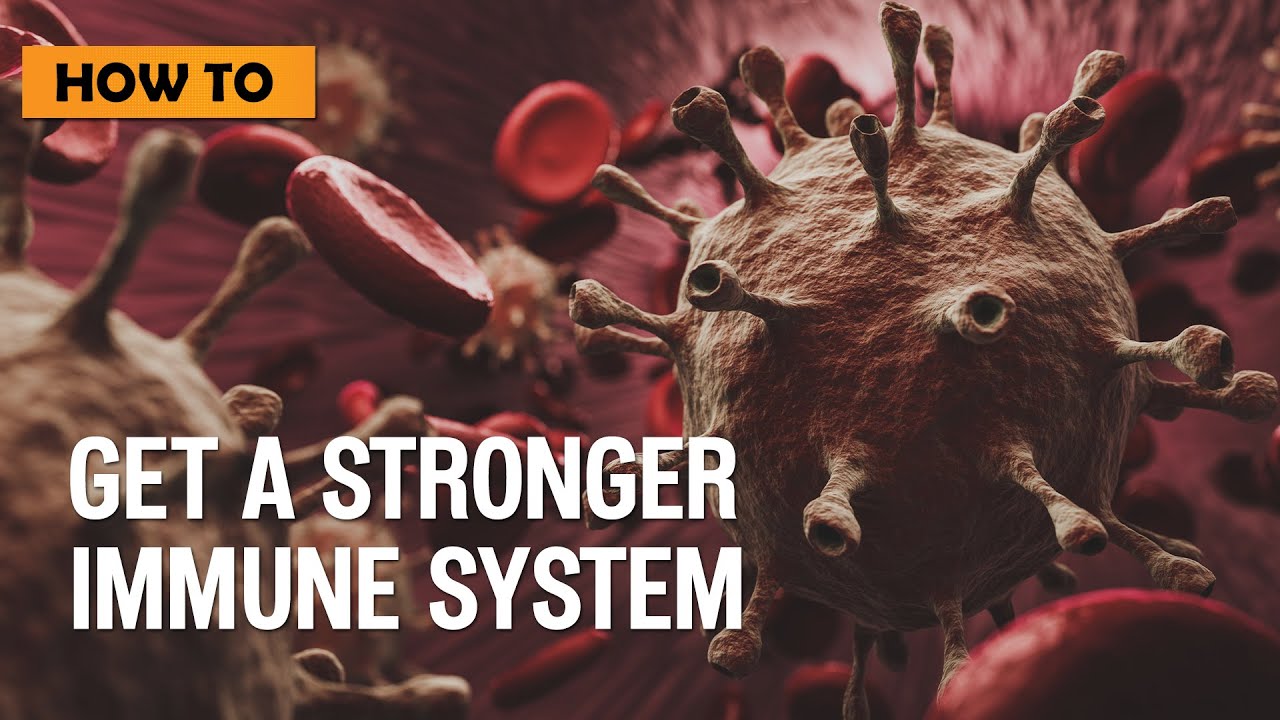 How to get a Stronger Immune System - YouTube