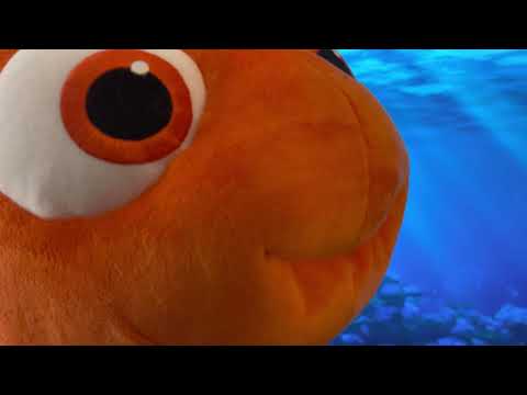 Walt Disney World ✨down the street✨We Have Found Nemo…A Very Large Nemo! Day 173 of 365 Disney Plush