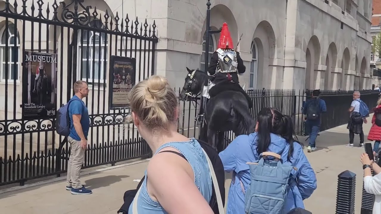 The kings guards horse makes a run for it for the second time. boss ...