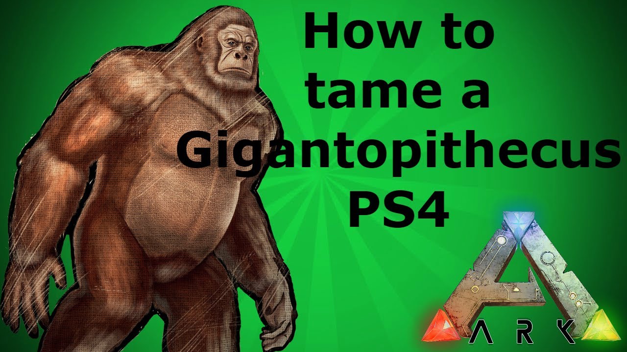 How to Tame a Big Foot// Ark Survival Evolved on PS4 - YouTube