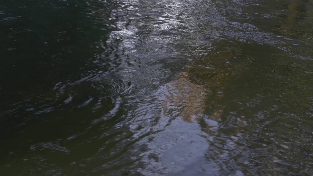 4K Landscape Scene - WaterFlow - Free Stock Footage - YouTube