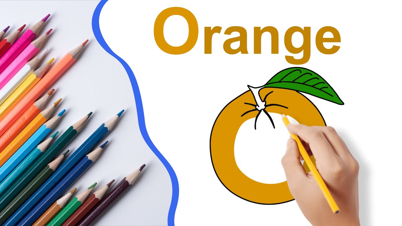 How To Draw Orange & coloring | How to draw a orange | Orange drawing ...