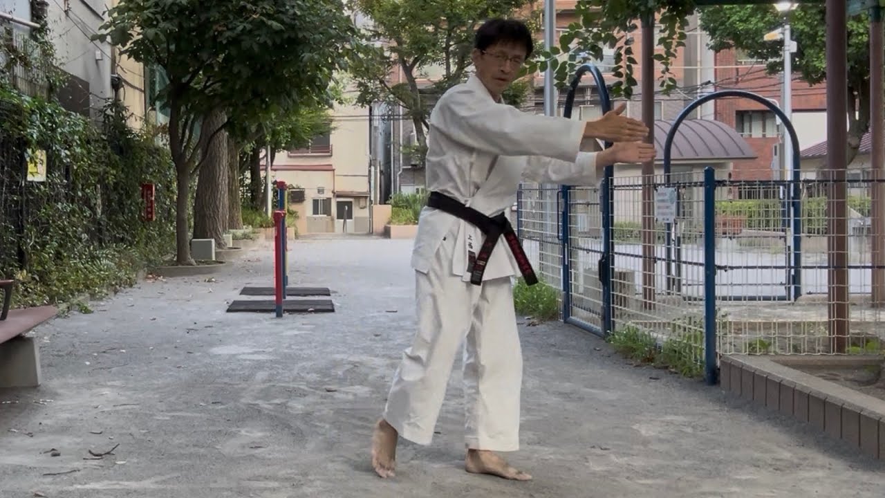 ワンシュウ説明 その2 (Wanshu with explanation 2) - YouTube