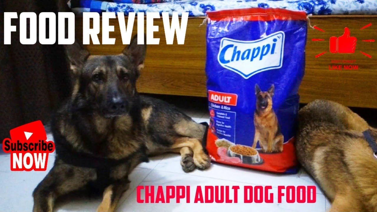 Chappi Adult Dog Food Review | Most Affordable And Better Food | Food ...