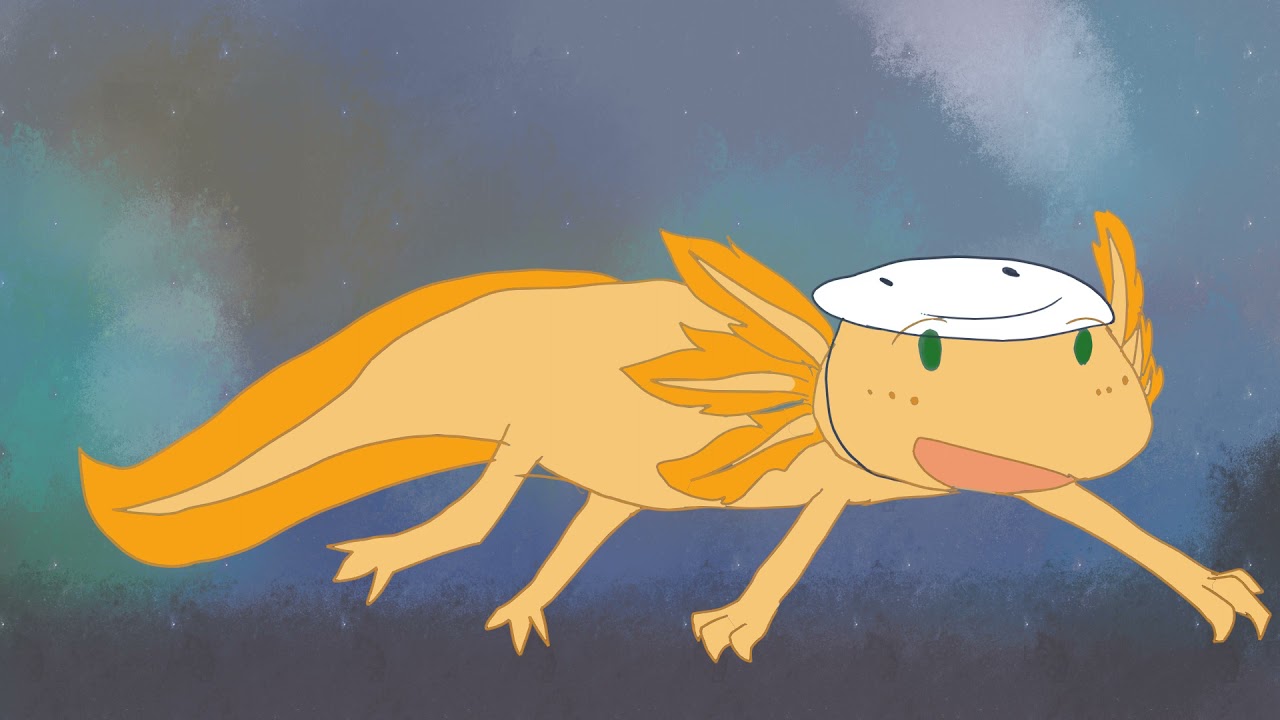 This is the axolotl song - YouTube