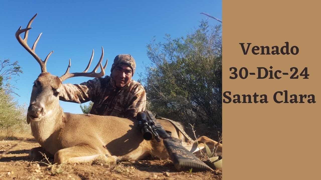 Venado 10 puntas - YouTube