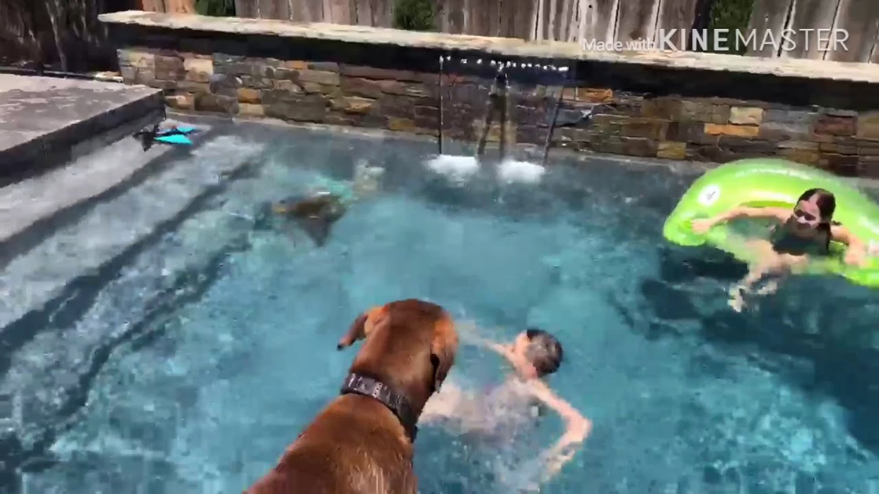 Drowning PSA - YouTube