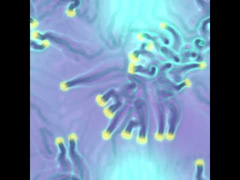 Reaction-diffusion Ready VTI Imported into Houdini - YouTube