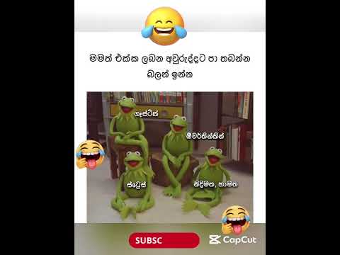 2315  #1million #jokes #amazingmemes #comedymemes #comedy #funnymemes #funny #funnypictures #fun