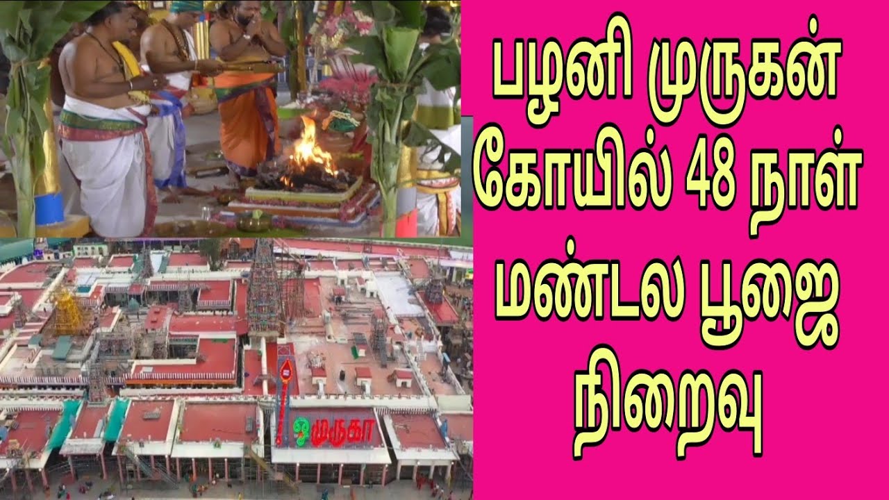 Palani Murugan Temple 48th Day Mandal Pooja | பழனி தண்டாயுதபாணி திருக்கோயில் மண்டல பூஜை | - YouTube