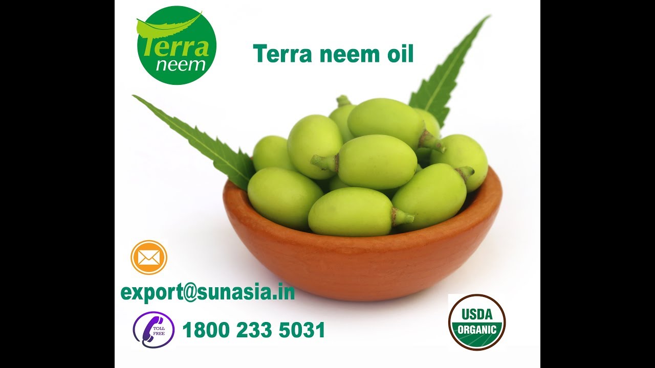 Terra neem product production plant, Azadirachtin production plant ...