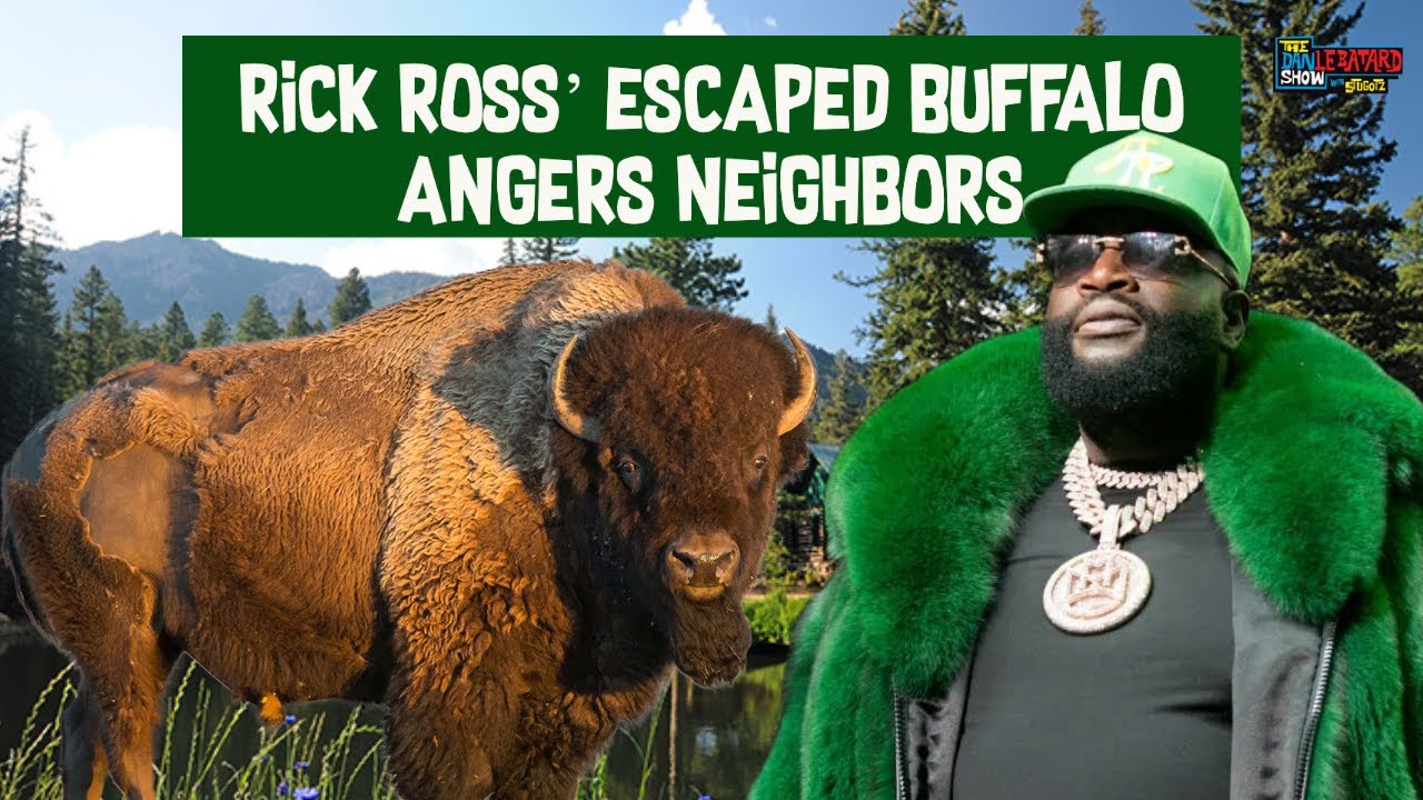 Rick Ross's Buffalo Are a Problem, Mad Dog Russo Gets New Contract ...