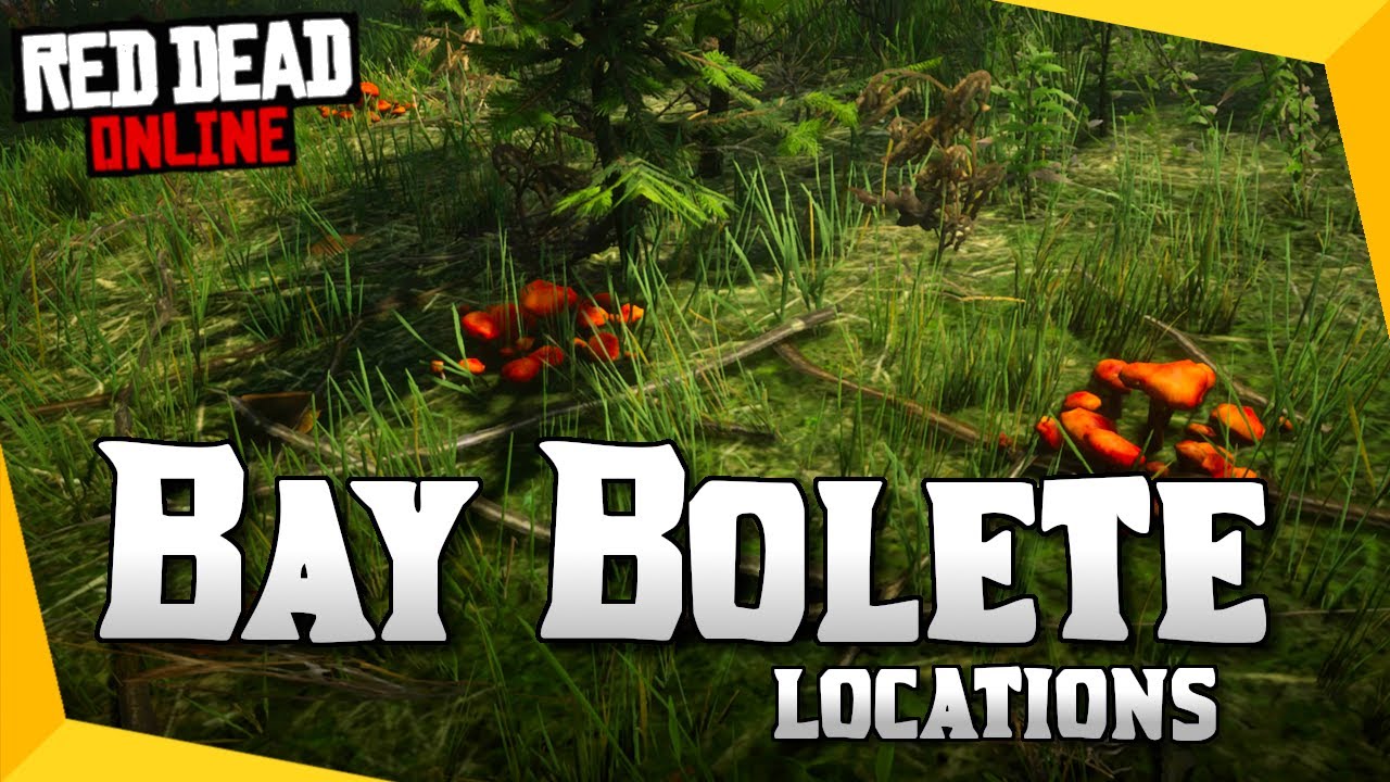 BAY BOLETE Locations: Red Dead Online (Daily Challenges) - YouTube