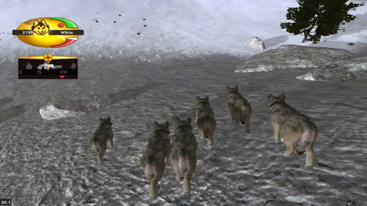 WolfQuest 2.7 • Player Duplication Glitch [beta] - YouTube