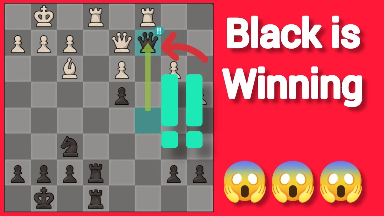 This is Why Chess is Always Interesting !! - YouTube