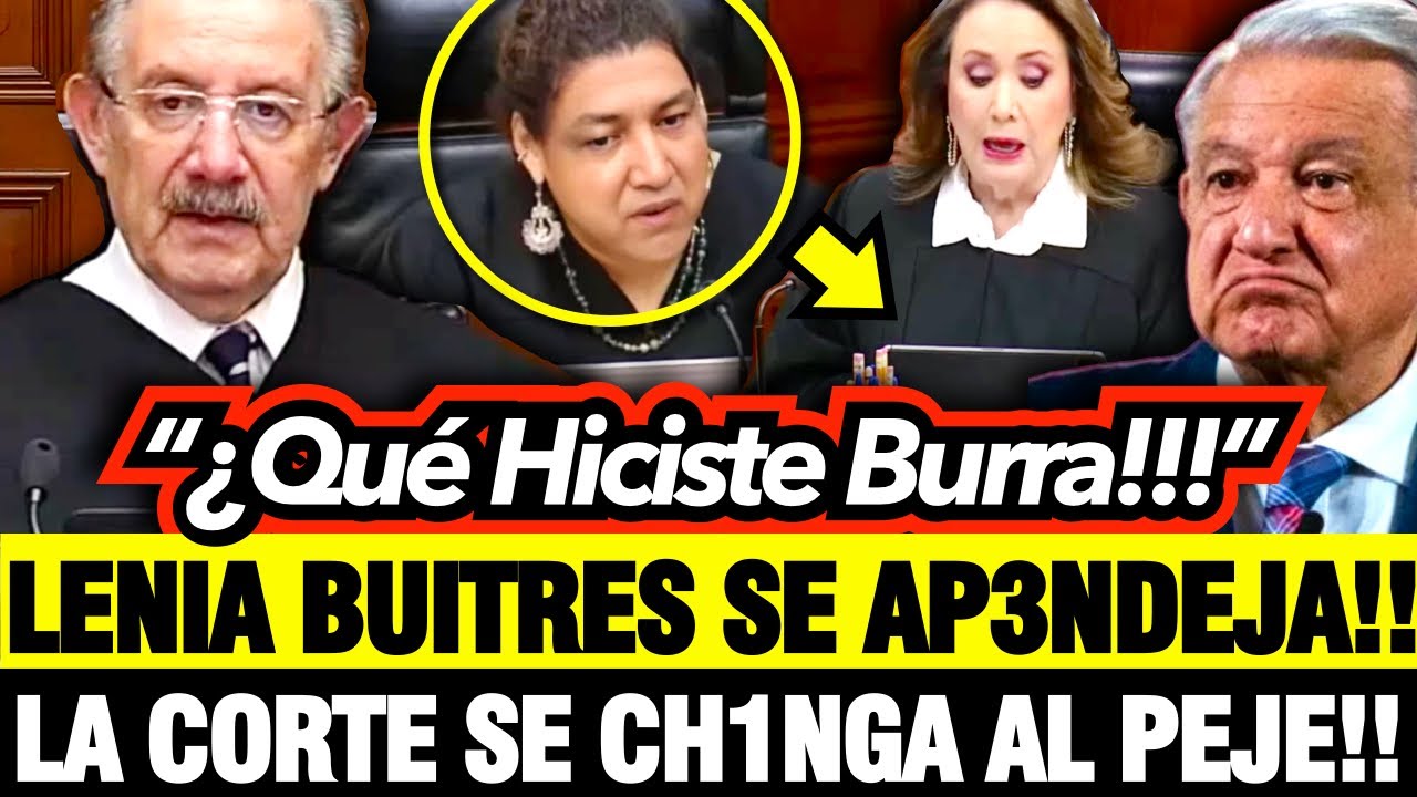 😎¡MINISTRO LUIS AGUILAR RIDICULIZA a la BURRA de LENIA BATRES!! ¡DAN ...