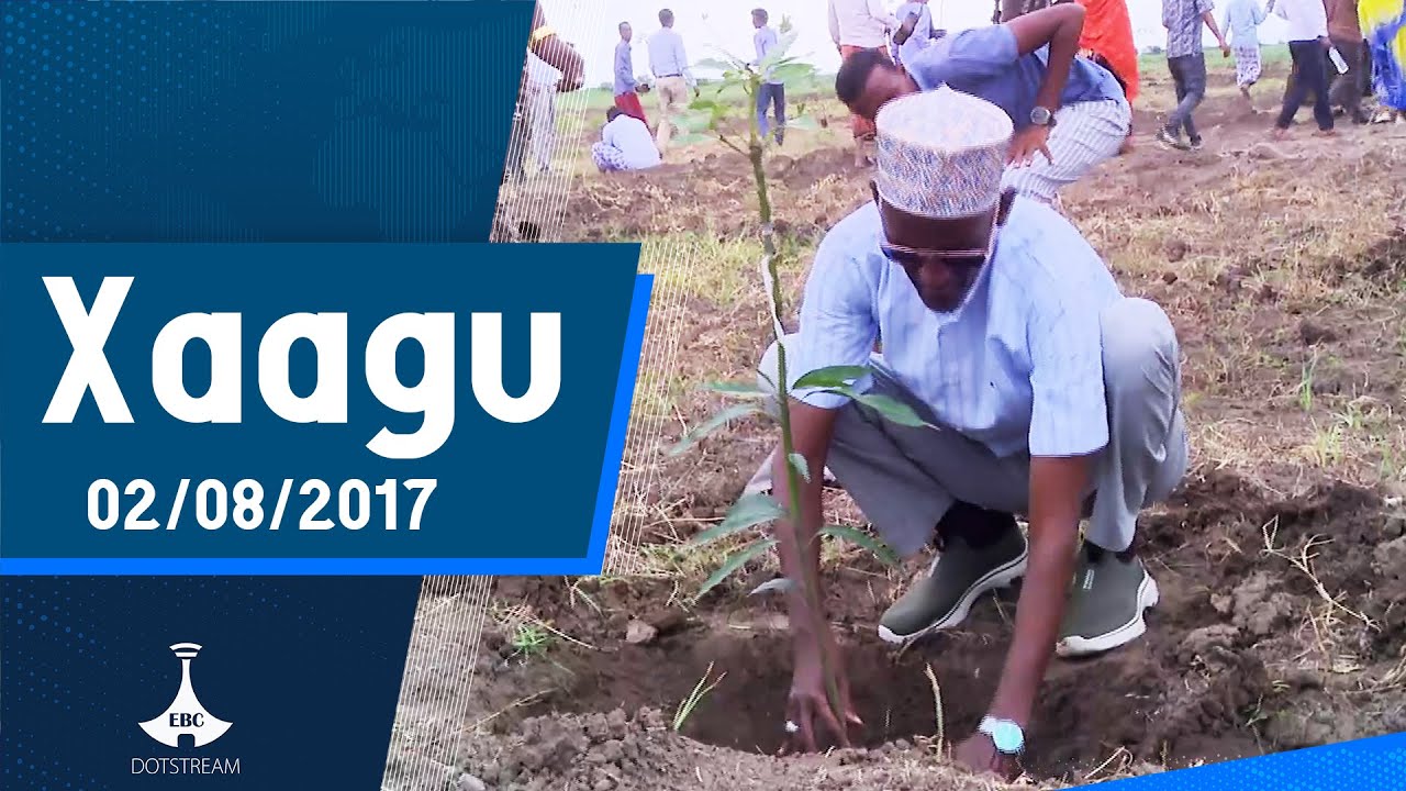Xaagu...02/08/2017 - YouTube