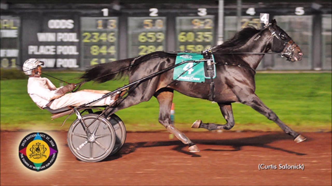 Jimmy Takter 2018 - YouTube