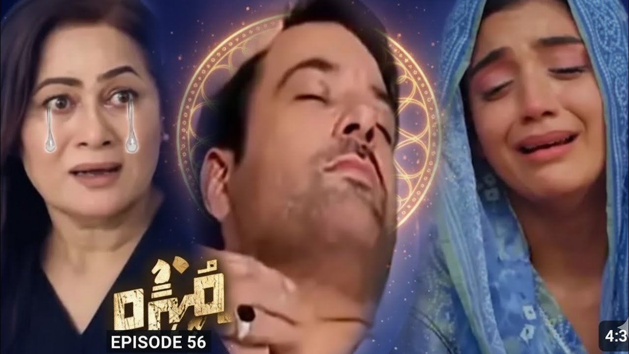 Kya hamza bach payaga Kya alizy oski Jan Bacha payagi ??? - YouTube