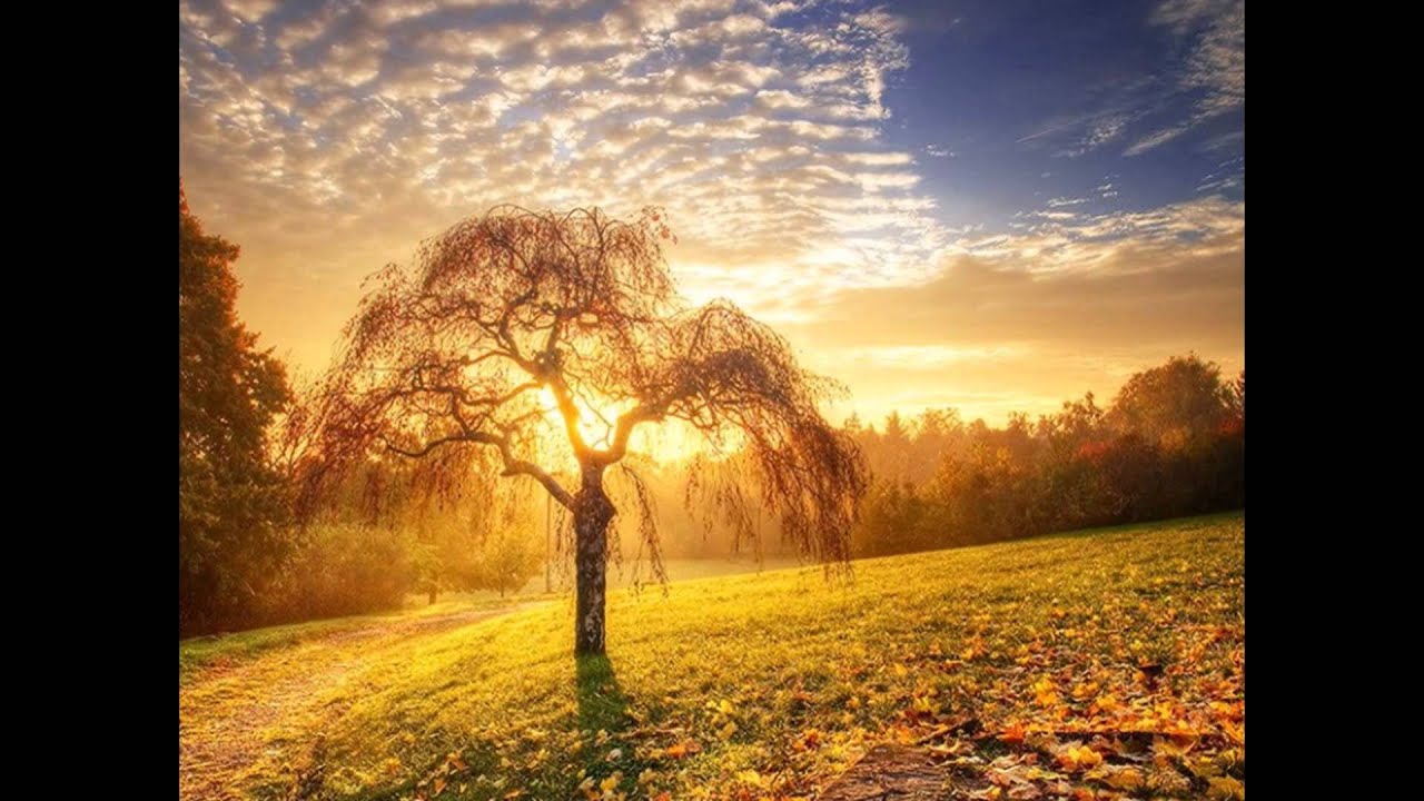 Nature scenery slideshow - YouTube