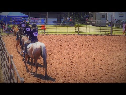 English Equitation At The County Fair - YouTube